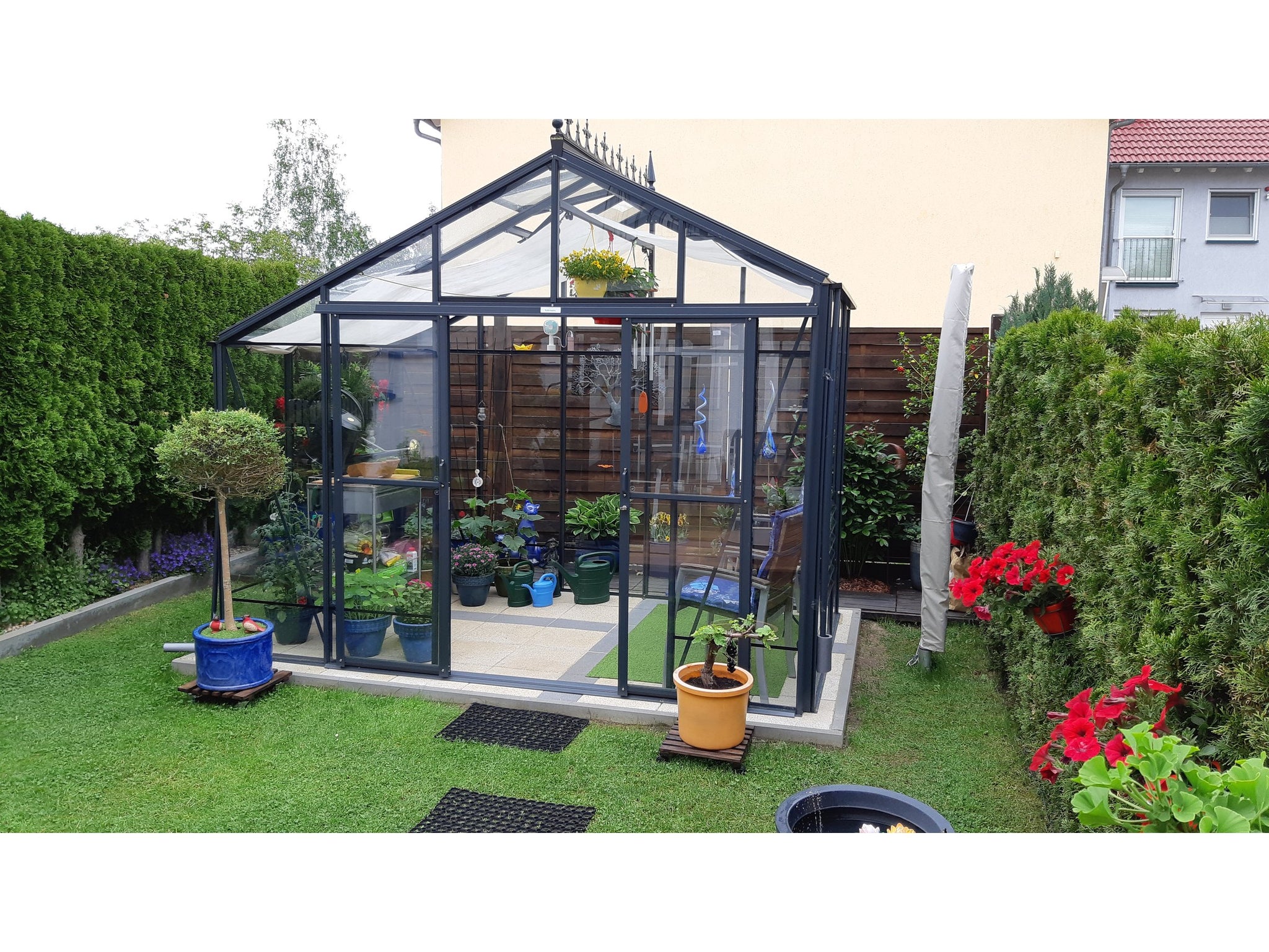 Robinsons Redoubtable – Robinsons Greenhouses