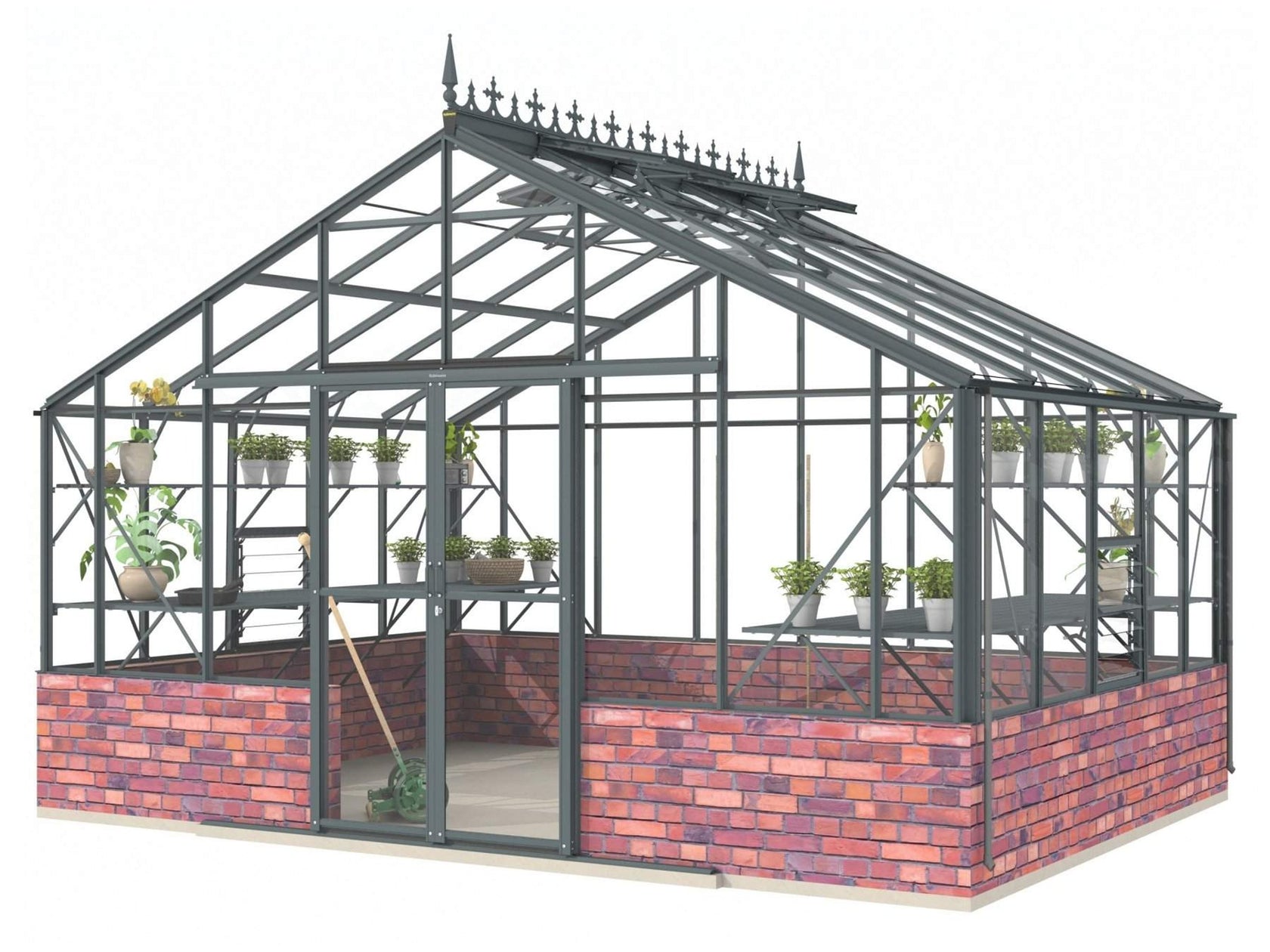 robinsons-renown-dwarf-wall – Robinsons Greenhouses