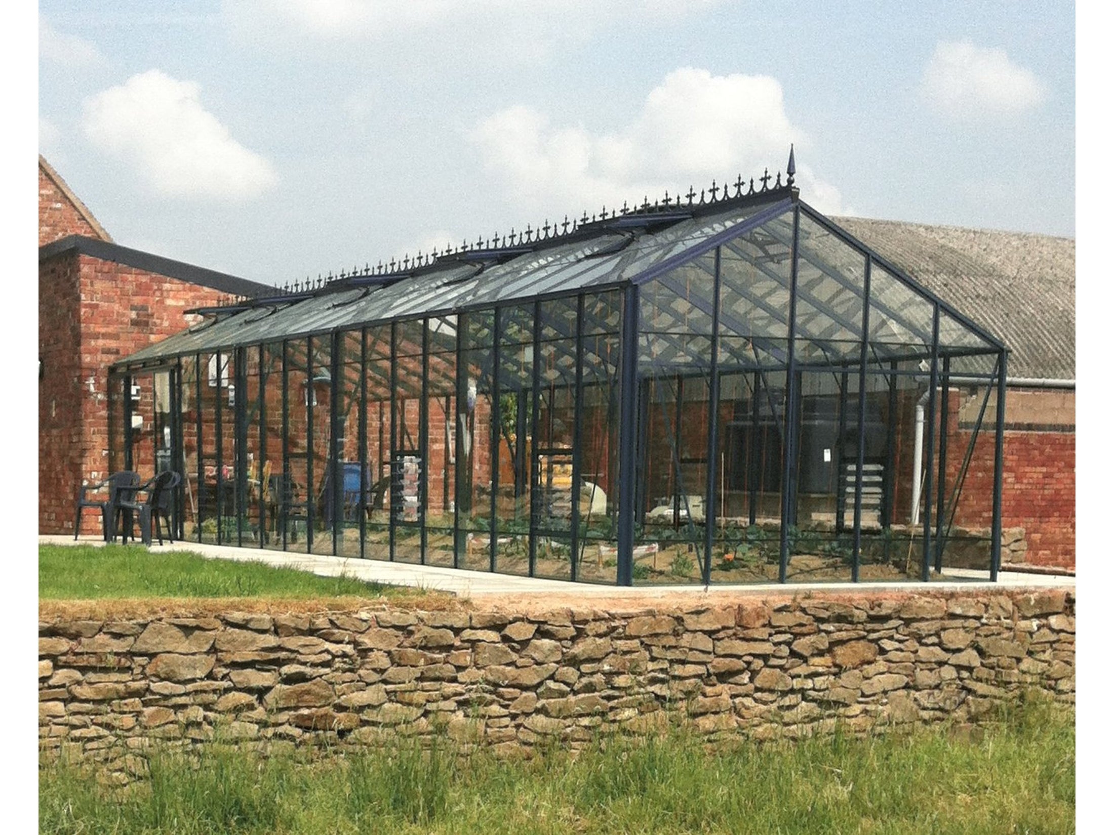 Robinsons Redoubtable – Robinsons Greenhouses